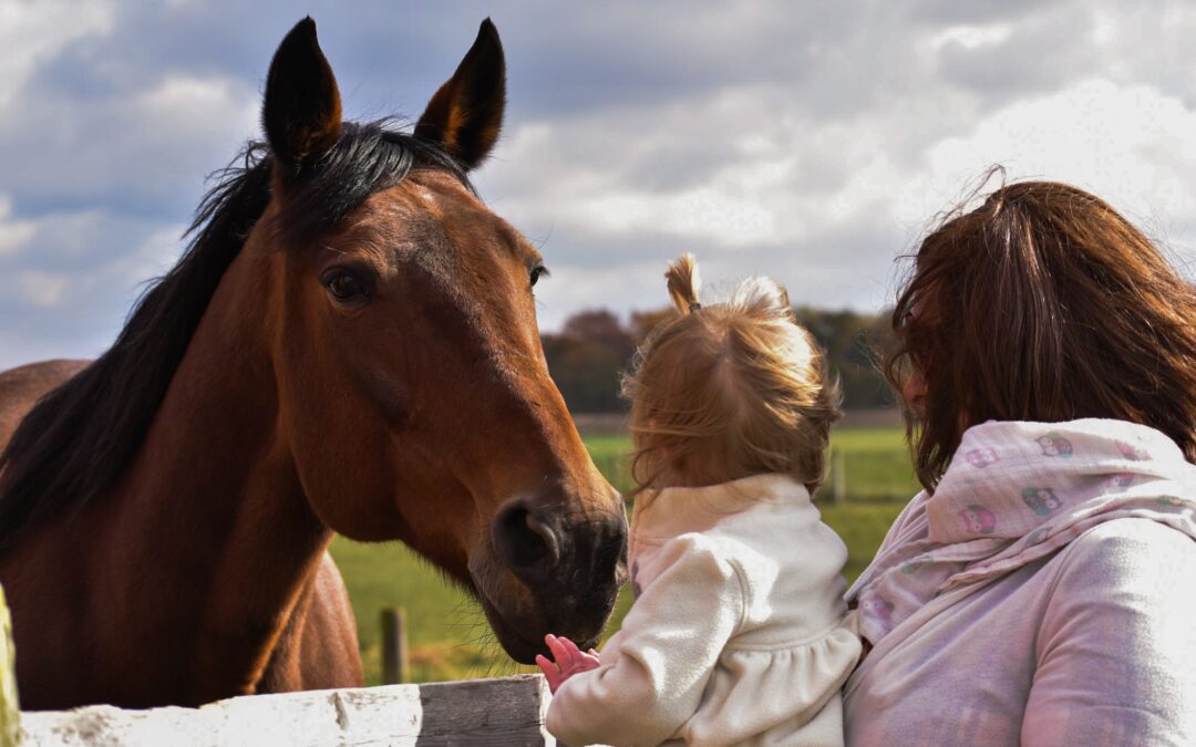 Living the Equid-able Life on The Farm | prophetstown.org